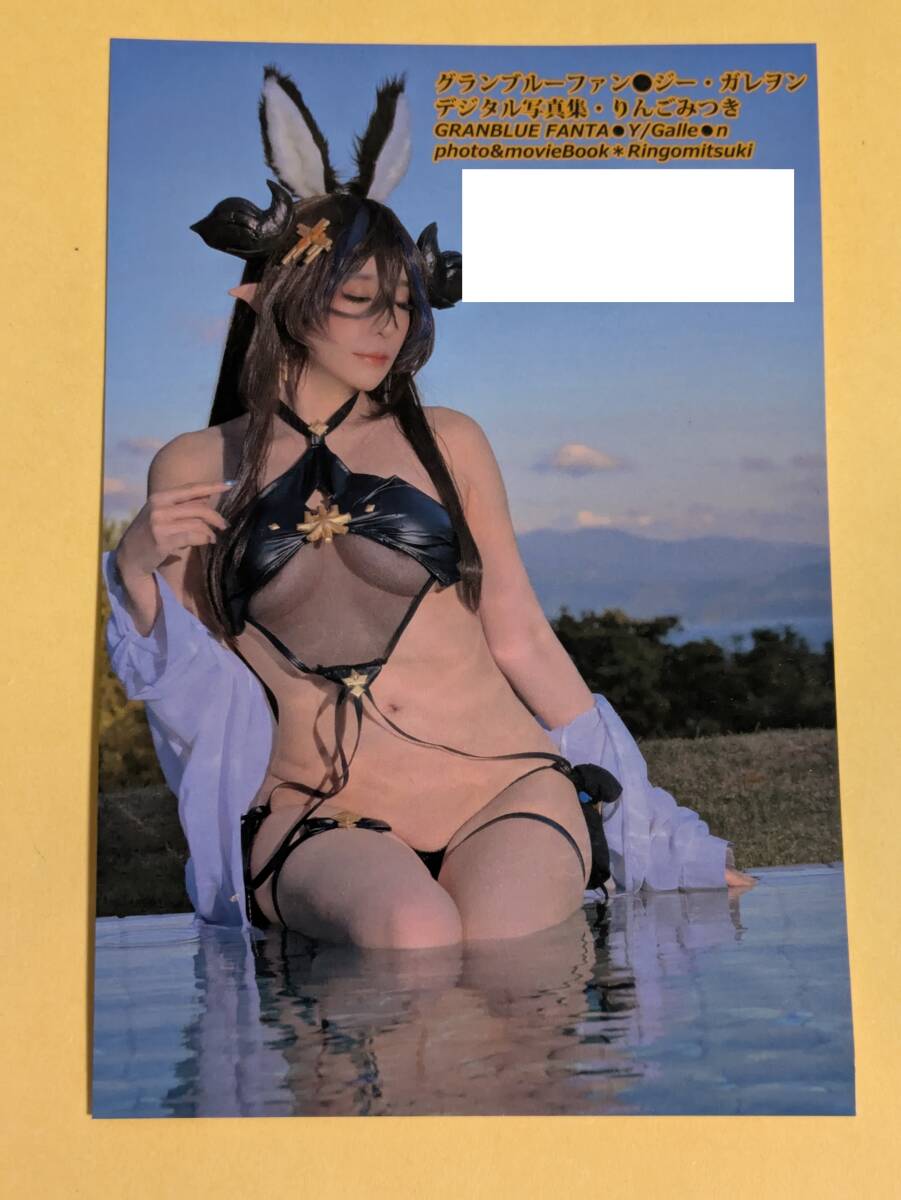 林檎蜜紀 グランブルーファン ジー・ガレヲンデジタル写真集 コミケ105 C105新作 コスプレ 写真集 ROM DLコード形式 /【Buyee】 Buyee - Japanese Proxy ...