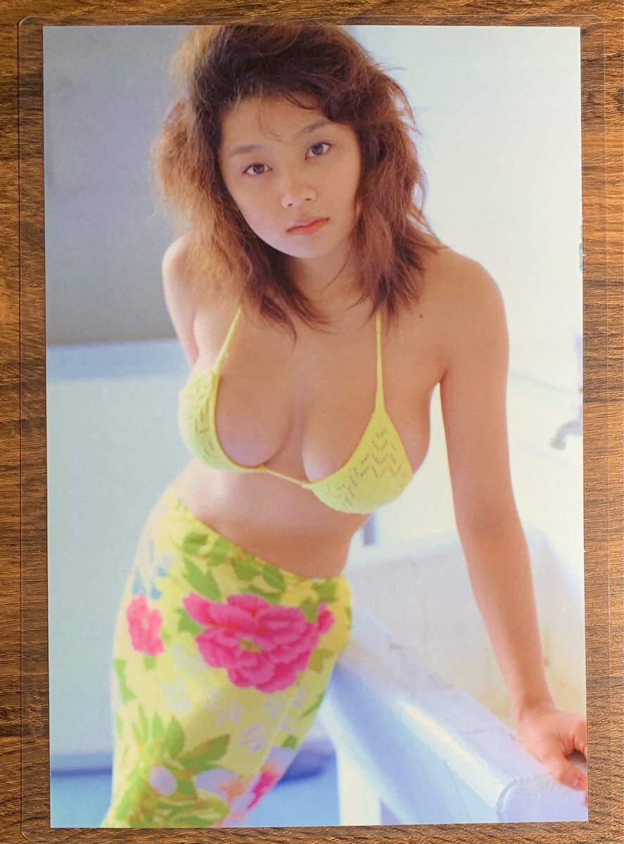 【厚手ラミネート加工】小池栄子 水着 雑誌切り抜き 7ページ サイズB5 週プレ 2000年 no.1 アイドル 女優 芸能人 【グラビア】-g5 /【Buyee】 Buyee ...