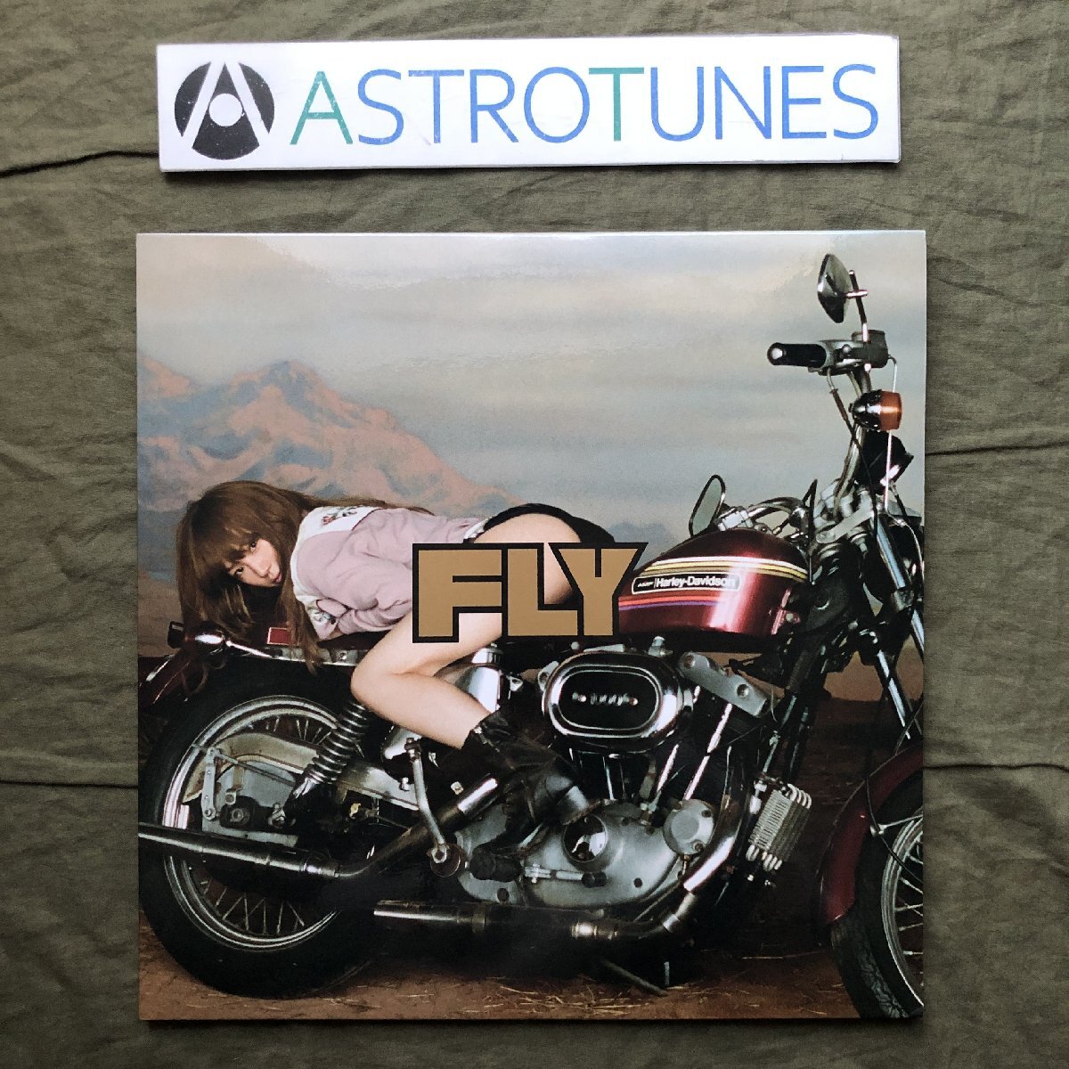 傷なし美盤 美ジャケ 新品同様 2014年 オリジナルリリース盤 ユキ Yuki 2枚組LPレコード FLY J-Pop 誰でもロンリー 完全 ...