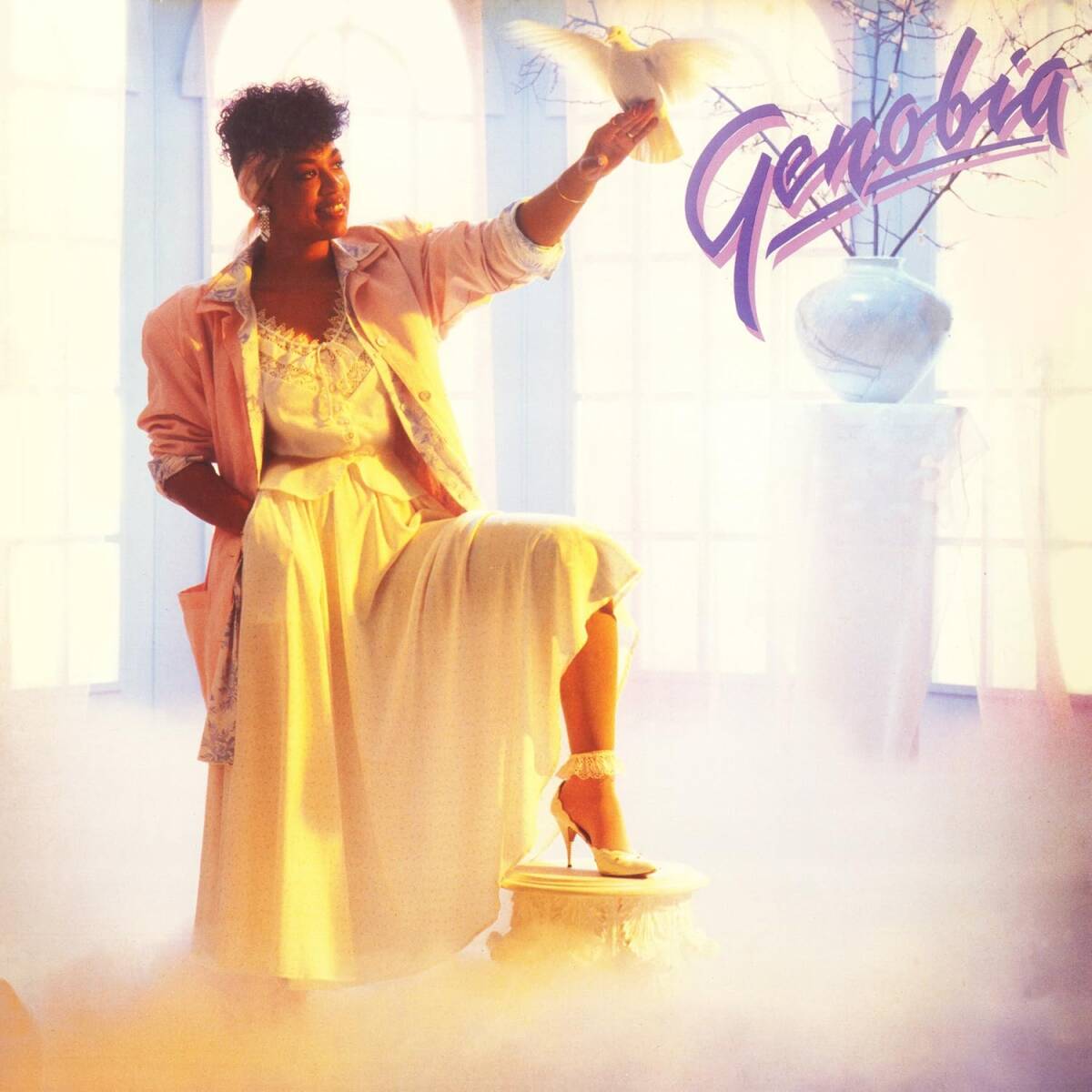 名盤 Genobia Jeter Genobia ジェノビア・ジーター 国内盤 ミディアム～スロウも素晴らしい80'sソウル名作！唯一の ...