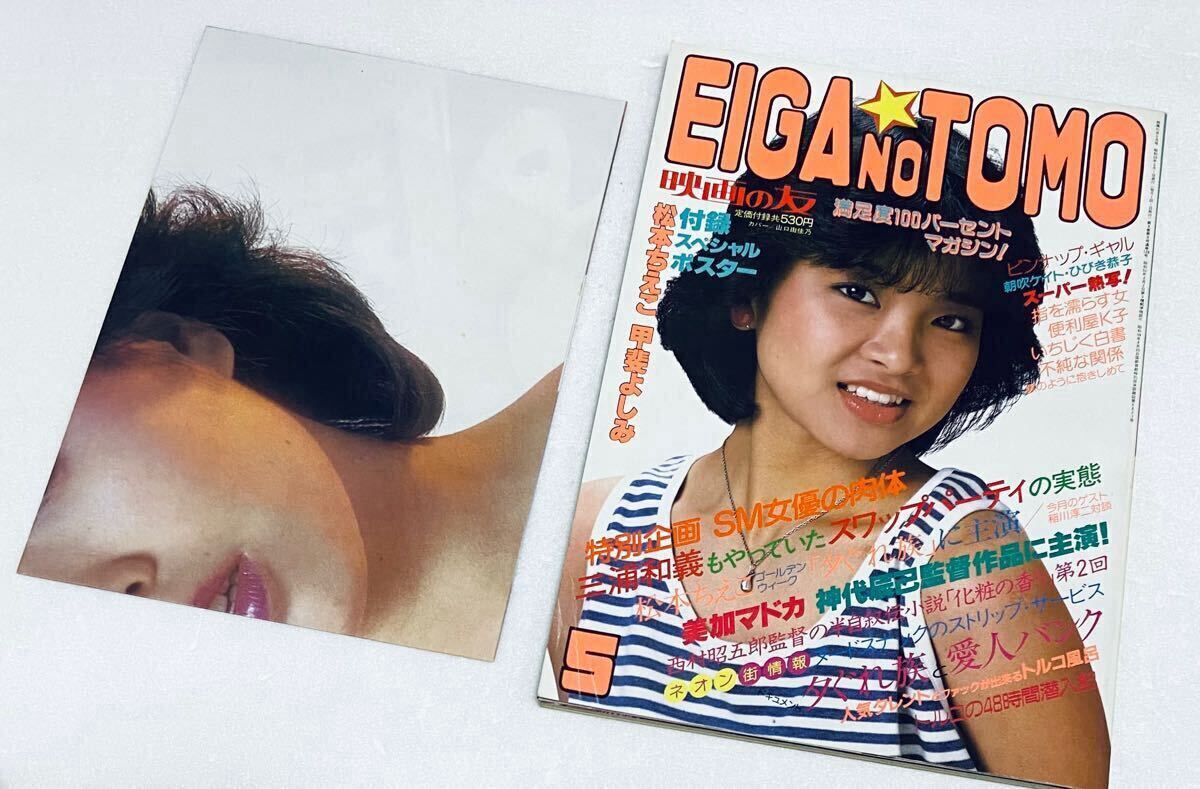 映画の友 ポスター付き EIGA NO TOMO 1984(昭和59)年5月 松本ちえこ 山本奈津子 朝吹ケイト 朝比奈順子 北原ちあき 藍ともこ 中川みず穂 f /【Buyee】 Buyee ...