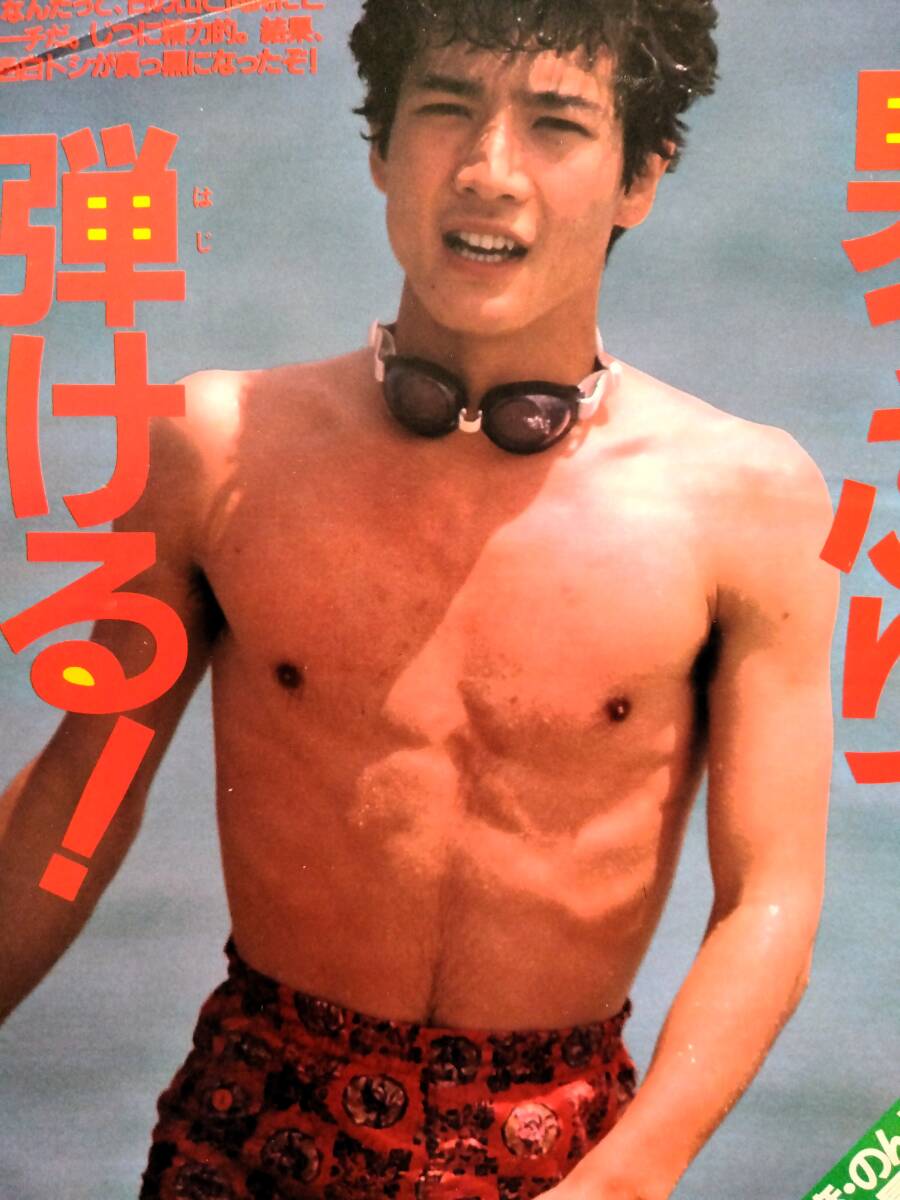 ♪田原俊彦切り抜き85枚+ピンナップ他！渡瀬恒彦真野響子野村義男近藤真彦ひかる一平志村けん野村宏伸松田聖子堀ちえみ昭和アイドル /【Buyee】 Buyee - Japanese Proxy ...