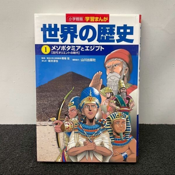 E622-O53-1460 小学館版 学習まんが 世界の歴史 全巻17 1-17巻セット 全巻 完結 小学館 野村敦司 歴史 近代史 学習 勉強 外箱付き OA /【Buyee】