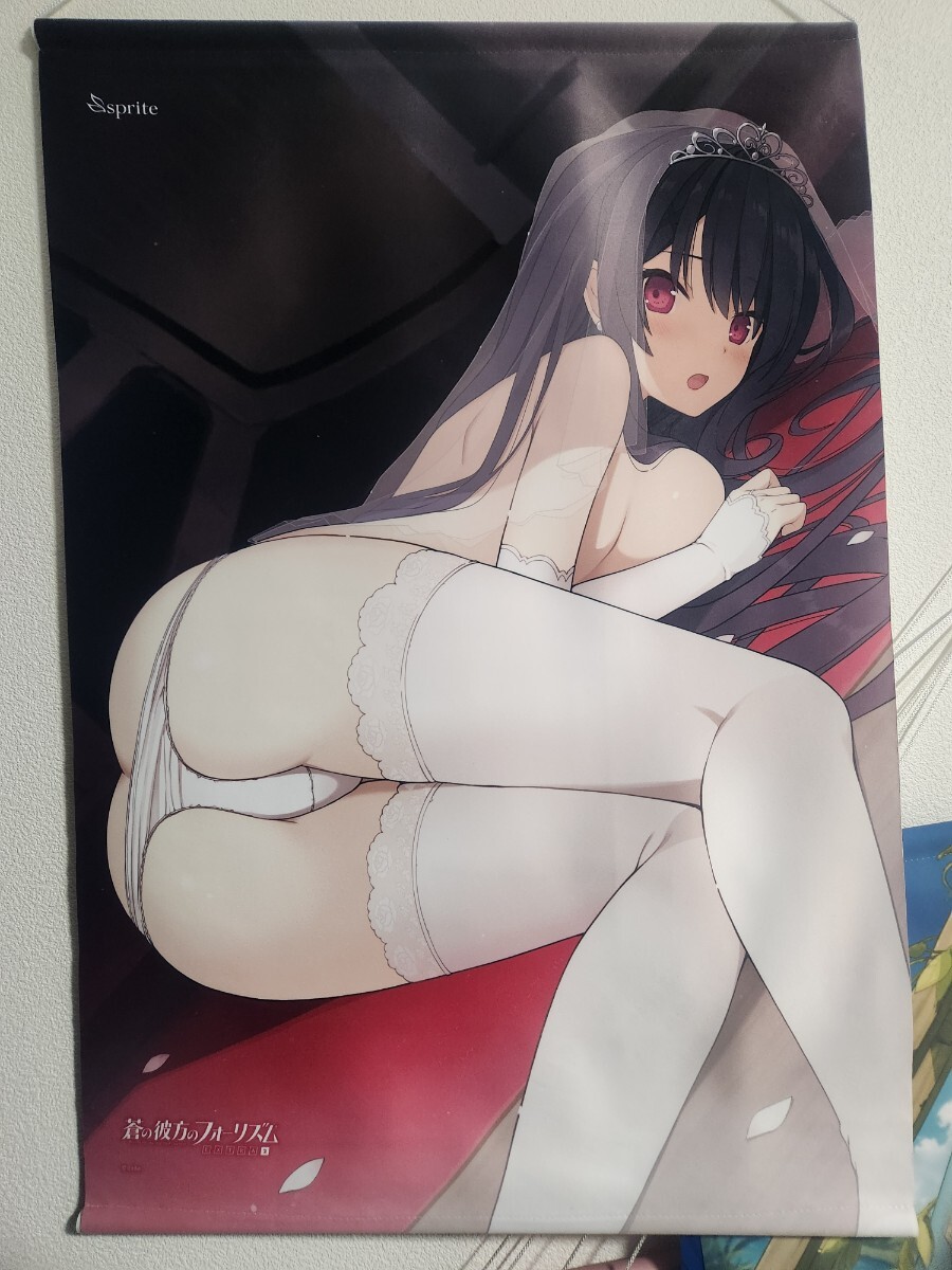 説明必読 ネコポス発送条件あり PCソフト 蒼の彼方のフォーリズム EXTRA2 ソフマップ特典 鳶沢みさき B2Wスエード タペストリー /【Buyee】 Buyee - Japanese ...