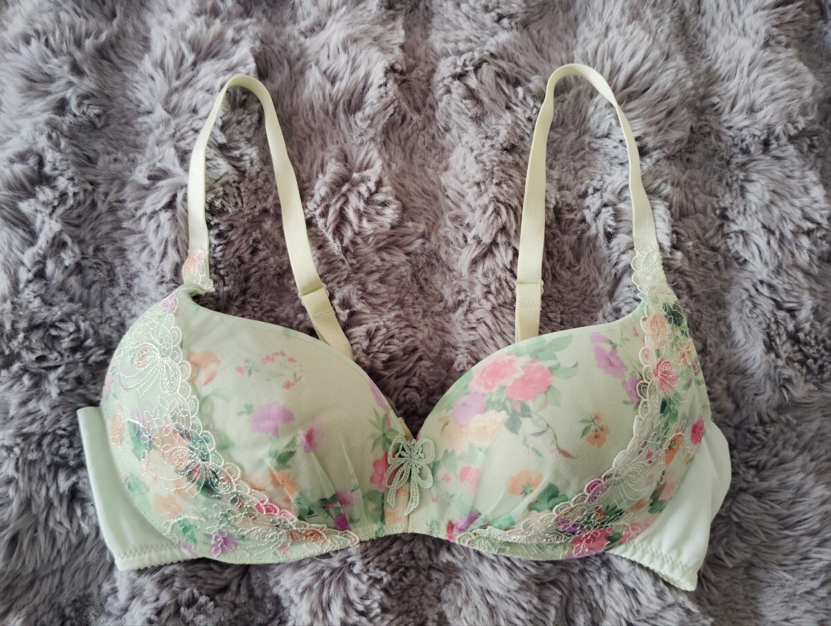 ブラジャー Lサイズ 補正下着 ホームクリーニング済み 12 /【Buyee】 Buyee - Japanese Proxy Service | Buy from Japan!