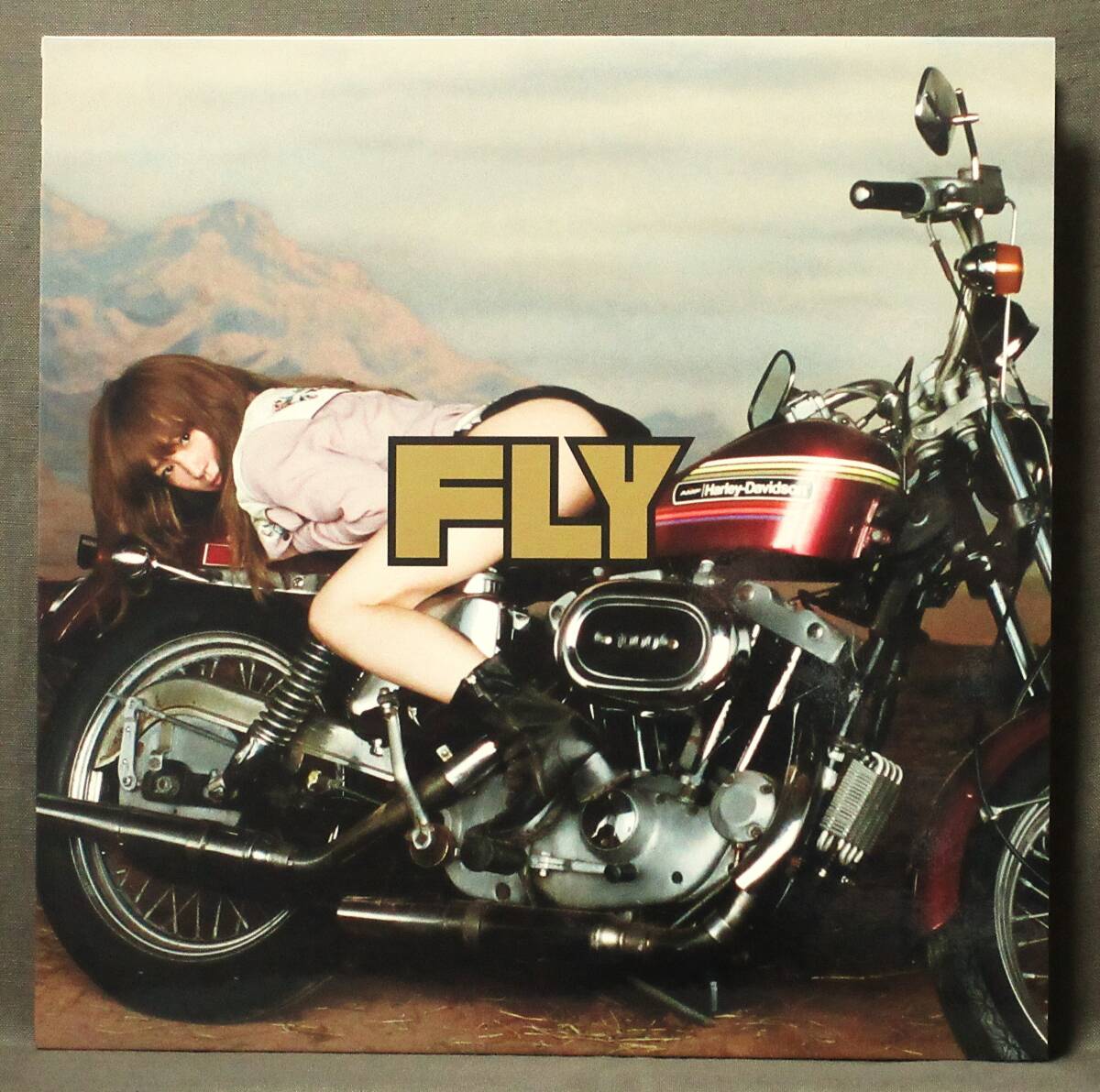 美品(2LP) YUKI [FLY] 抽選会参加券+プレセント応募券封入/完全生産限定盤/ライナー付き/定価\3,500/2014年/EPICソニー/ESJL 3083-4 /【Buyee ...