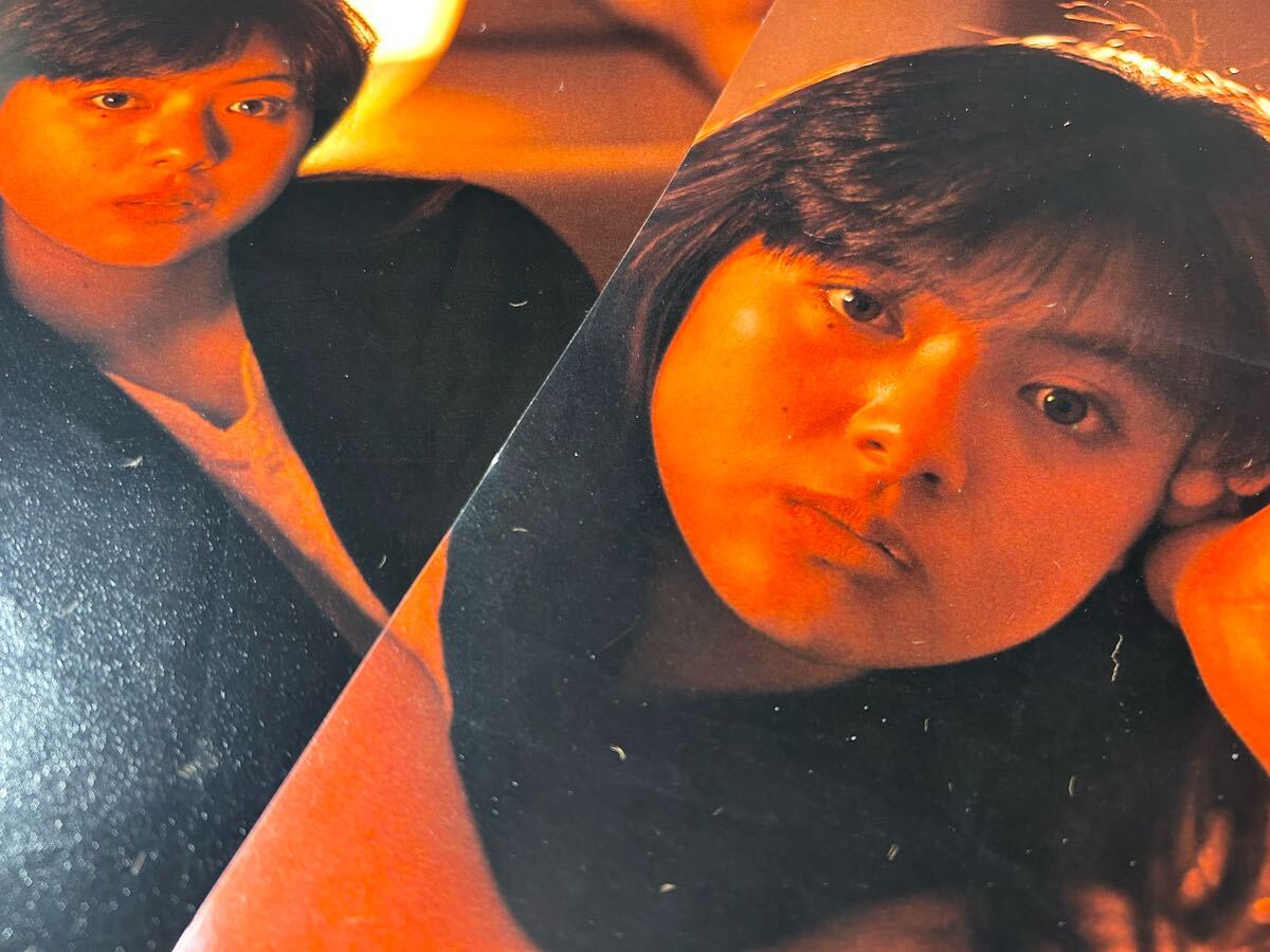 薬師丸ひろ子 渡辺良子 切り抜き アイドル 女優 歌手 グラビア 昭和レトロ お宝 /【Buyee】 Buyee - Japanese Proxy Service | Buy from Japan!