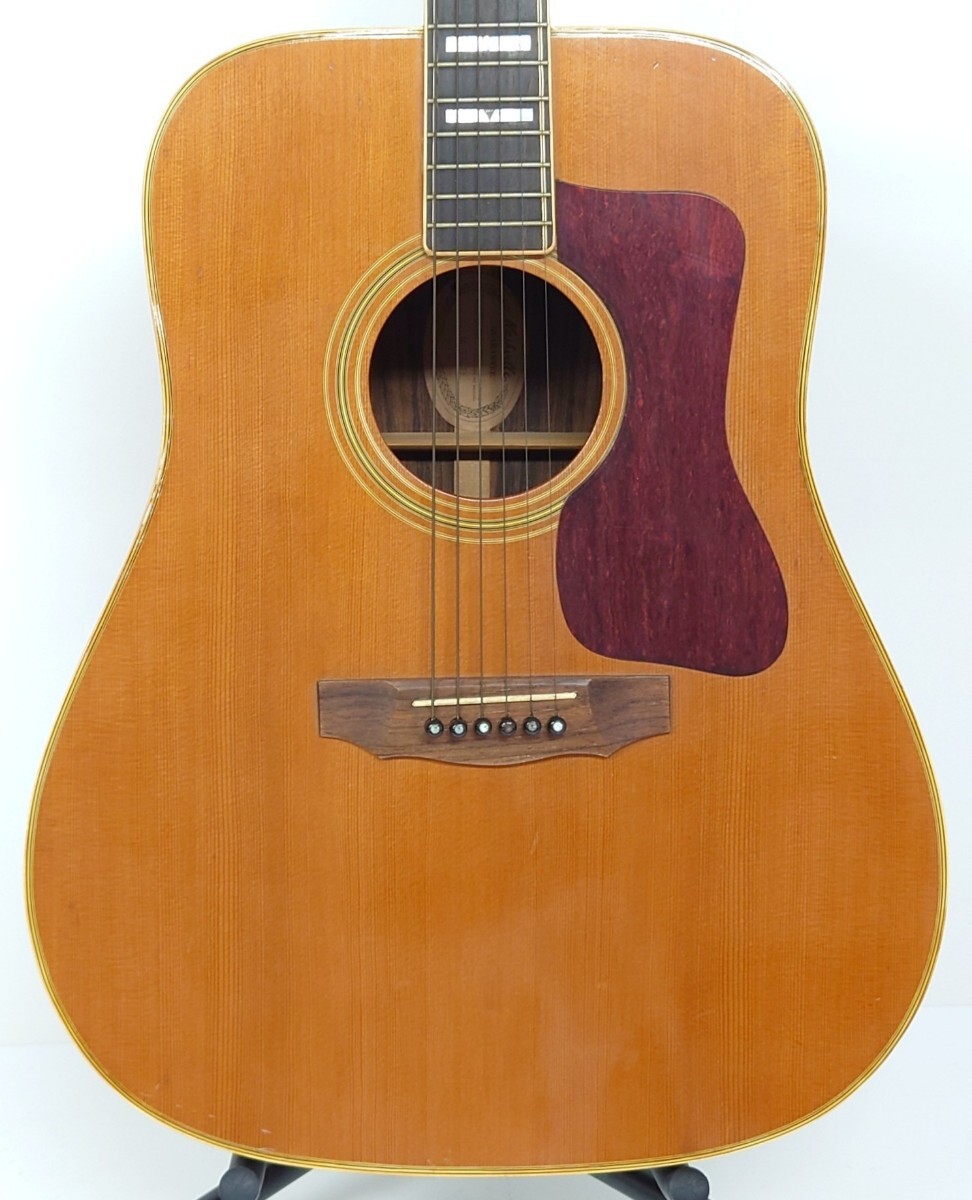 【KE1005】 NASHVILLE アコースティックギター N55D 本体 ナシュヴィル アコギ 6弦 弦楽器 ハードケース 付 ジャパン ...