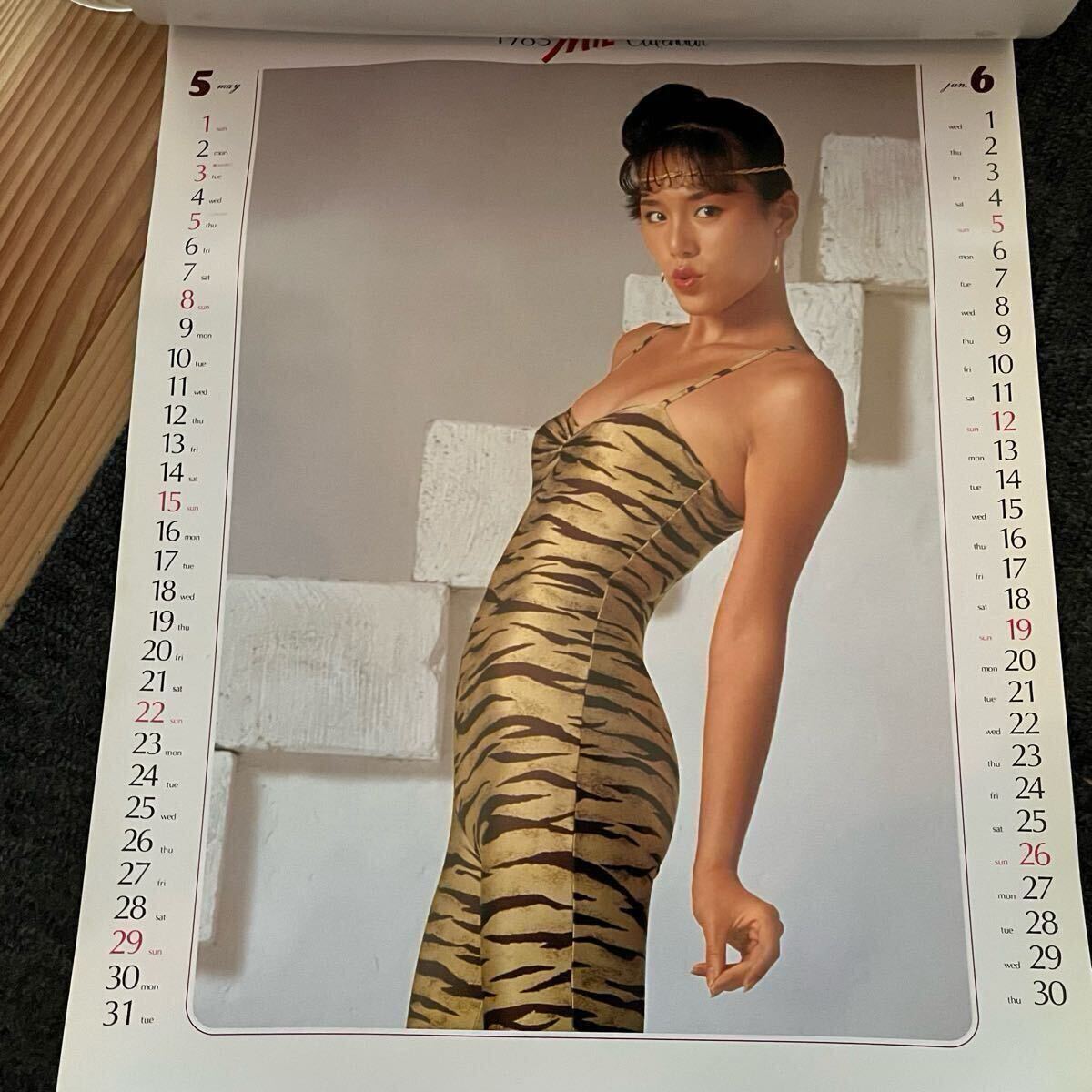 1983年 ピンクレディー MIE アイドル カレンダー 当時物 歌手 水着 昭和レトロ お宝 /【Buyee】 Buyee - Japanese Proxy Service | Buy ...