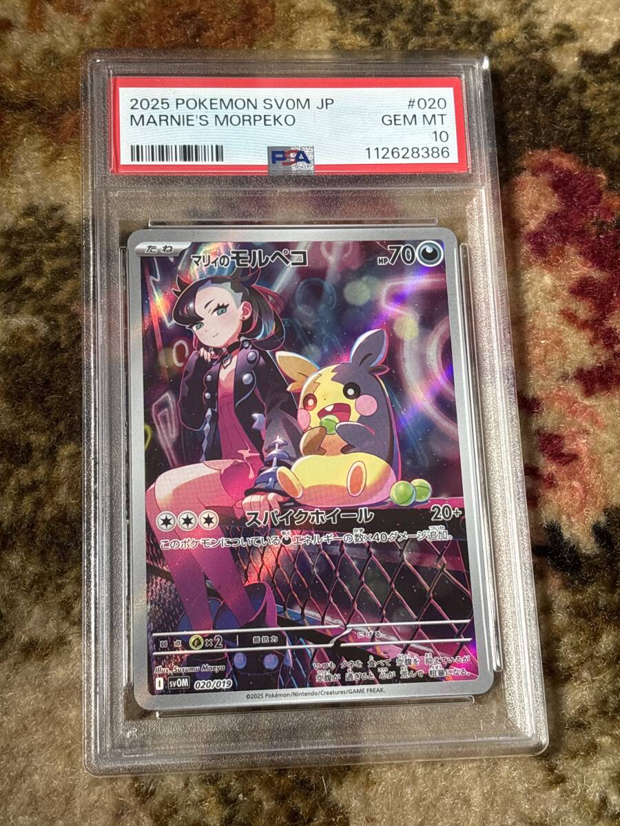 ポケモンカード マリィのモルペコ 020/019 プロモ PSA10 PSA鑑定品 /【Buyee】 Buyee - Japanese Proxy Service | Buy from Japan!