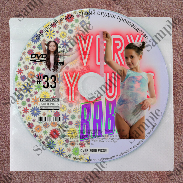 **レア** 正規品 VYB-ディスク 東欧・北欧系 海外アイドル イメージDVD-ROM写真集 **HSZ-041** ロシア ウクライナ ...