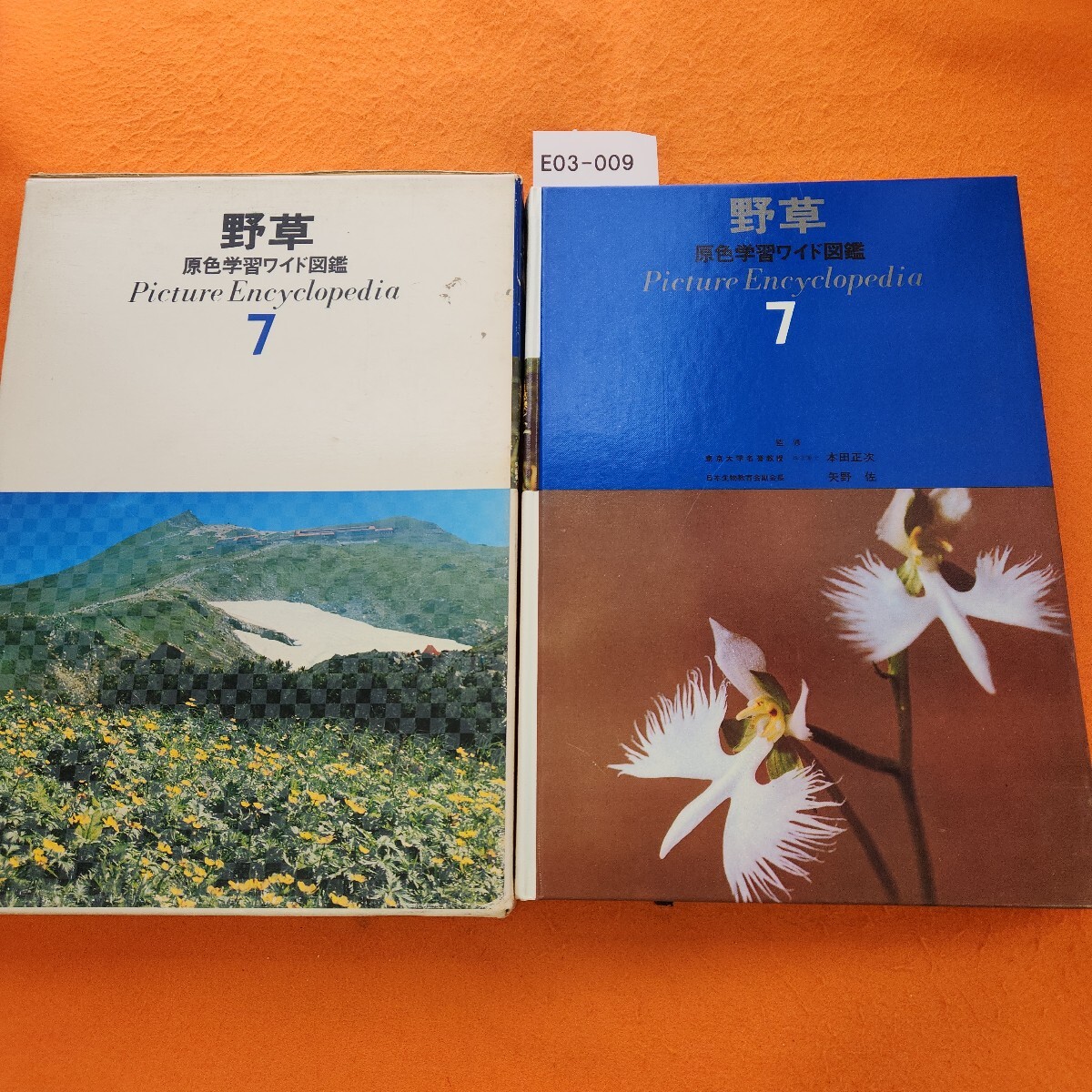 E03-009 野草 原色学習ワイド図鑑 7 破れあり。外箱劣化あり。 /【Buyee】 Buyee - Japanese Proxy Service | Buy from Japan!