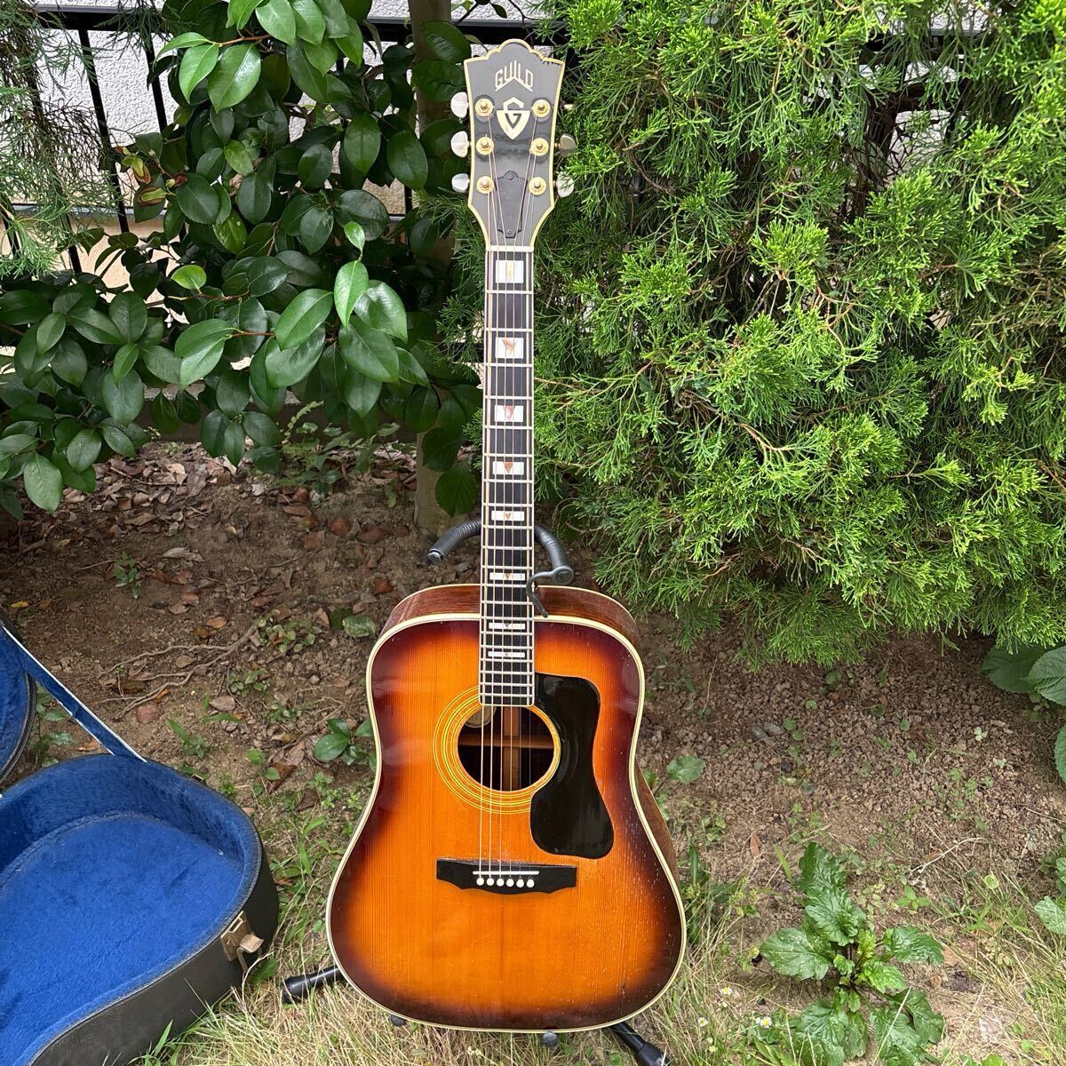 Guild ギルド D55 74年製 アコースティックギター D55SB /【Buyee】 Buyee - Japanese Proxy Service | Buy from Japan!