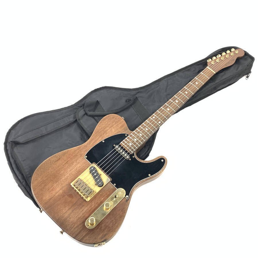 SCHECTER シェクター テレキャスタータイプ エレキギター シリアルNo.890189 ブラウン系 ソフトケース付き★動作品 ...