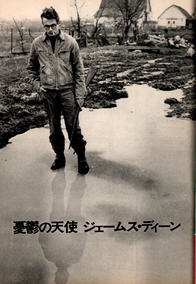 s3864 平凡パンチ 1974年 昭和49年5.6 No508 ジェームスディーン 青木英美 梢ひとみ アイリス 大谷あや 江川 匿名配送 ...