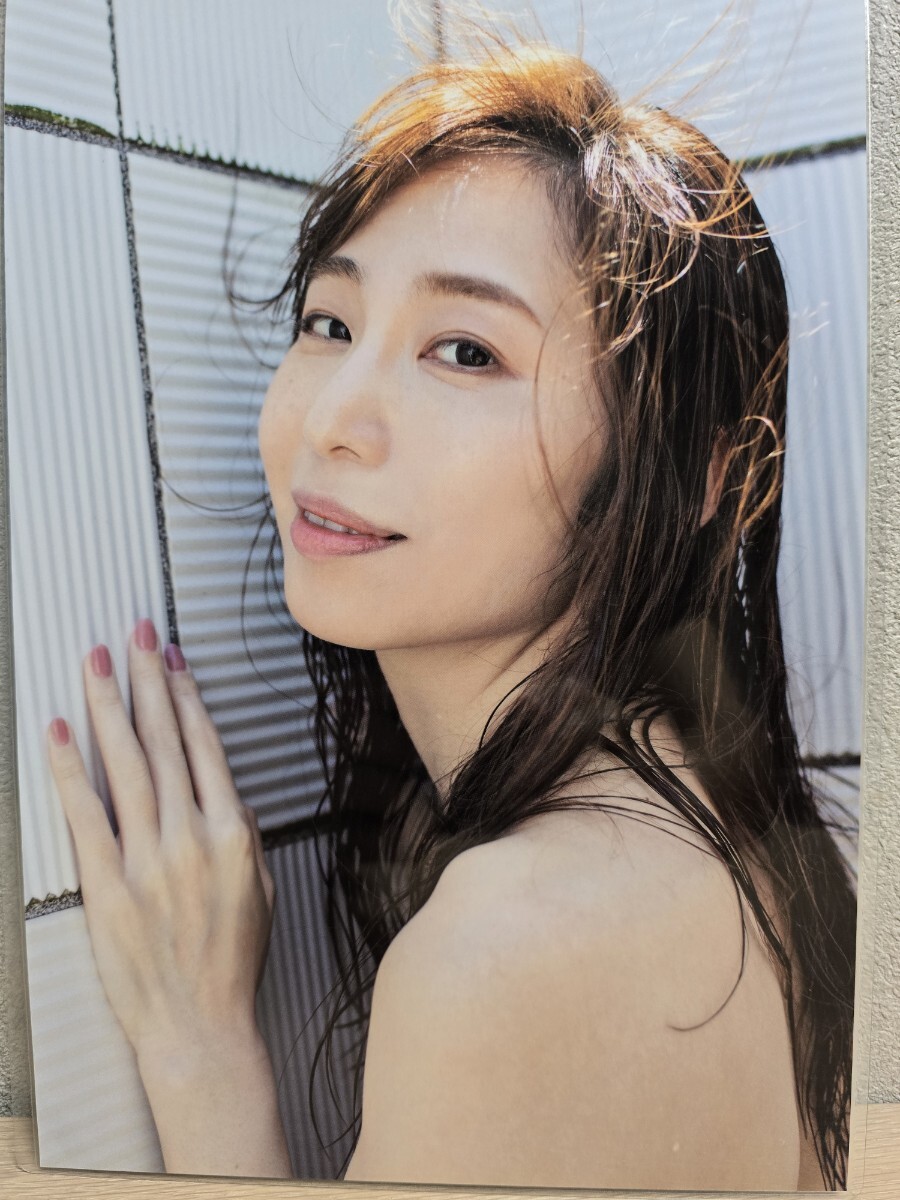 【塩地美澄】[150μmラミネート加工 切り抜き5ページ ]写真集 切り抜き A4サイズ⑤ /【Buyee】 Buyee - Japanese Proxy Service | Buy from ...