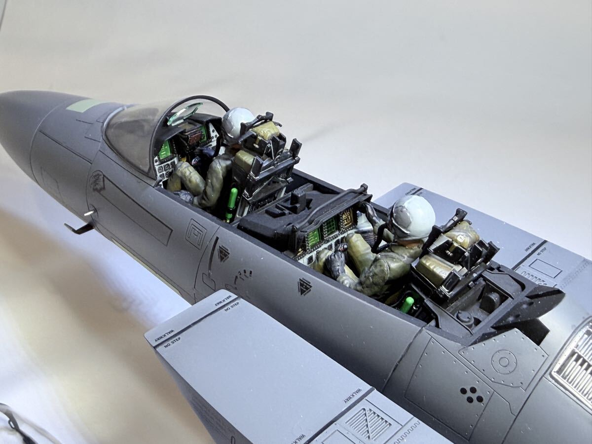 タミヤ 1/32 F-15E ストライクイーグル“バンカーバスター” 完成品 /【Buyee】 Buyee - Japanese Proxy ...