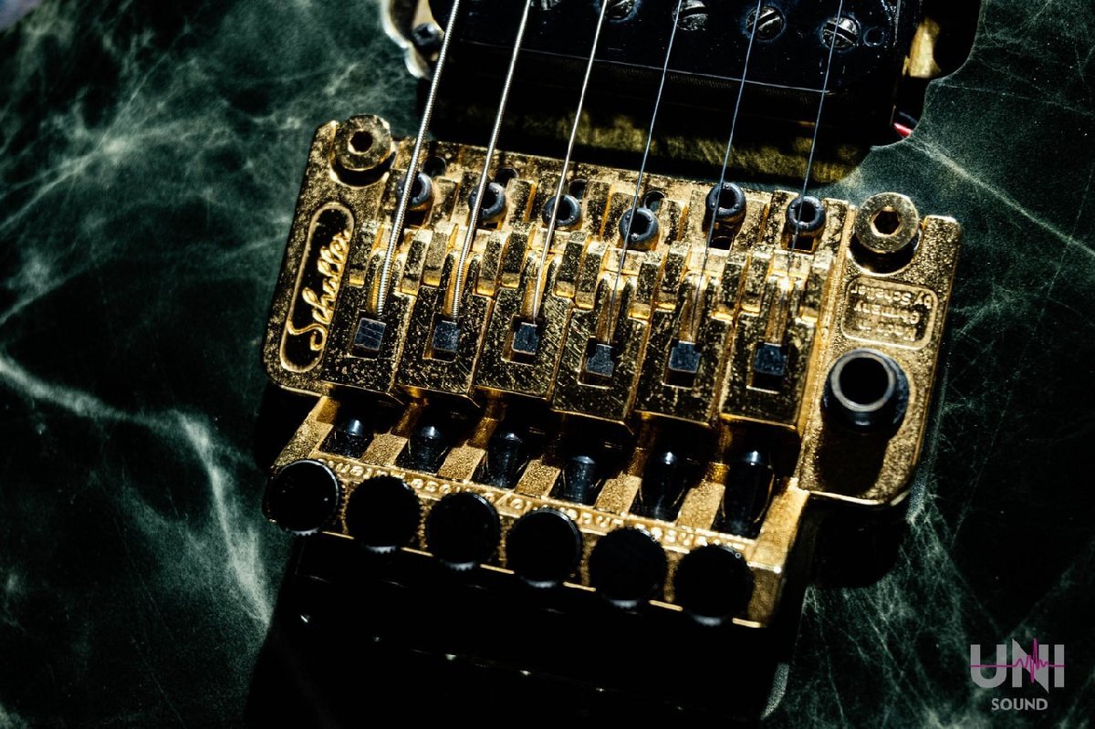 Caparison Venus “Gackt Signature Model” キャパリソン ヴィーナス シグネチャーモデル エレクトリック ...