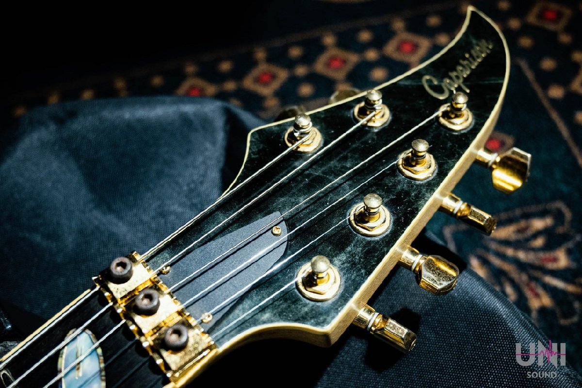 Caparison Venus “Gackt Signature Model” キャパリソン ヴィーナス シグネチャーモデル エレクトリック ...