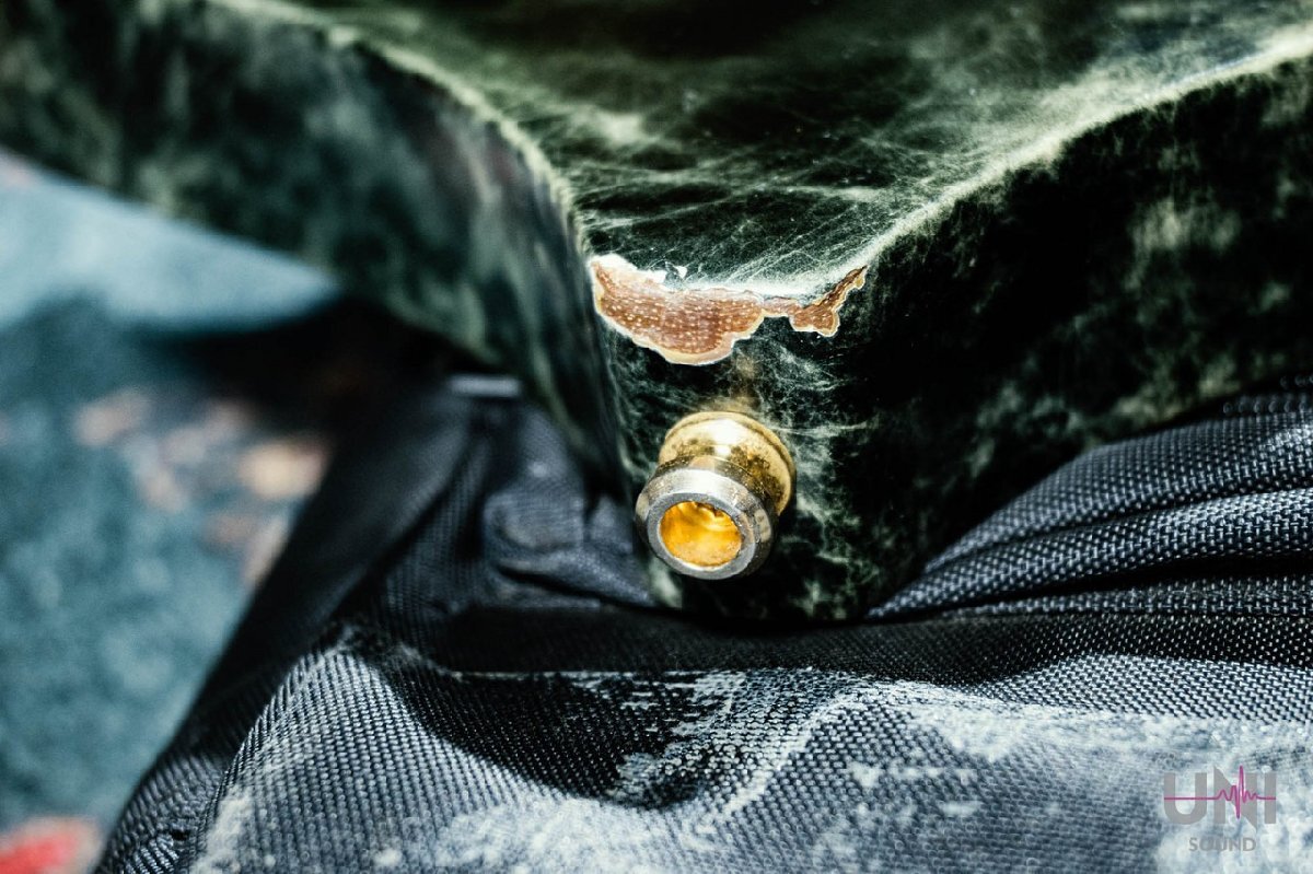 Caparison Venus “Gackt Signature Model” キャパリソン ヴィーナス シグネチャーモデル エレクトリック ...