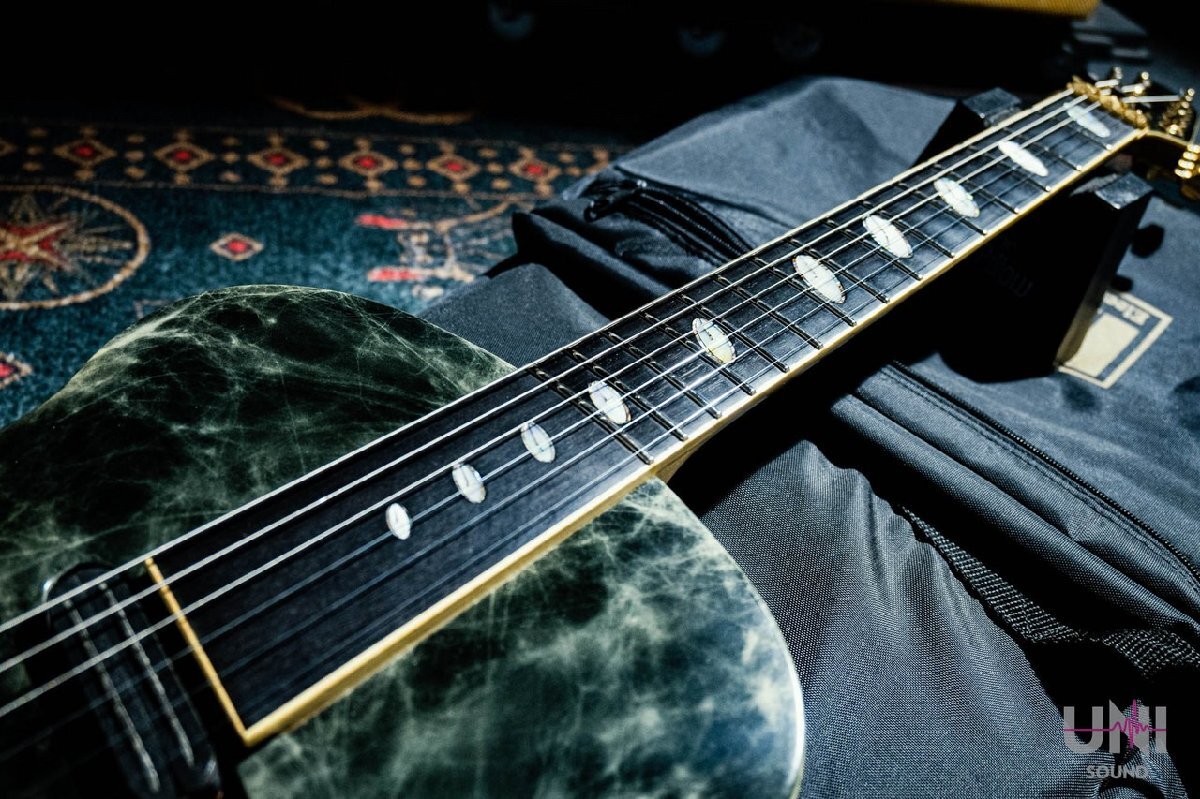 Caparison Venus “Gackt Signature Model” キャパリソン ヴィーナス シグネチャーモデル エレクトリック ...