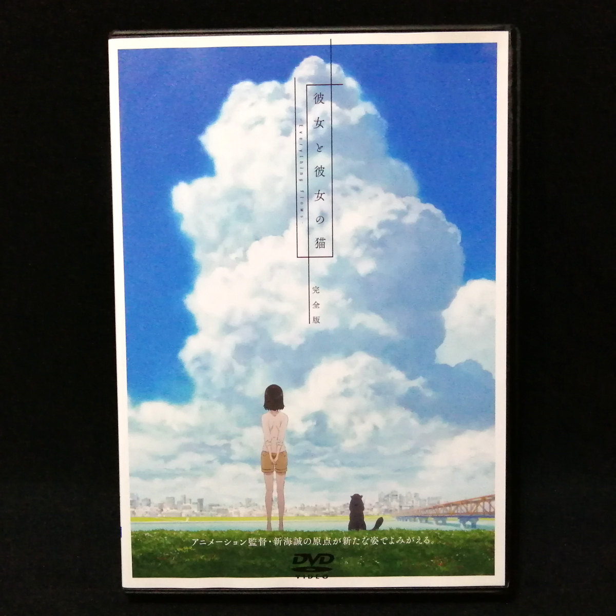 DVD / 彼女と彼女の猫 Everything Flows 完全版 花澤香菜 新海誠 レンタル版 /【Buyee】 "Buyee" Japanese Proxy Service | Buy ...