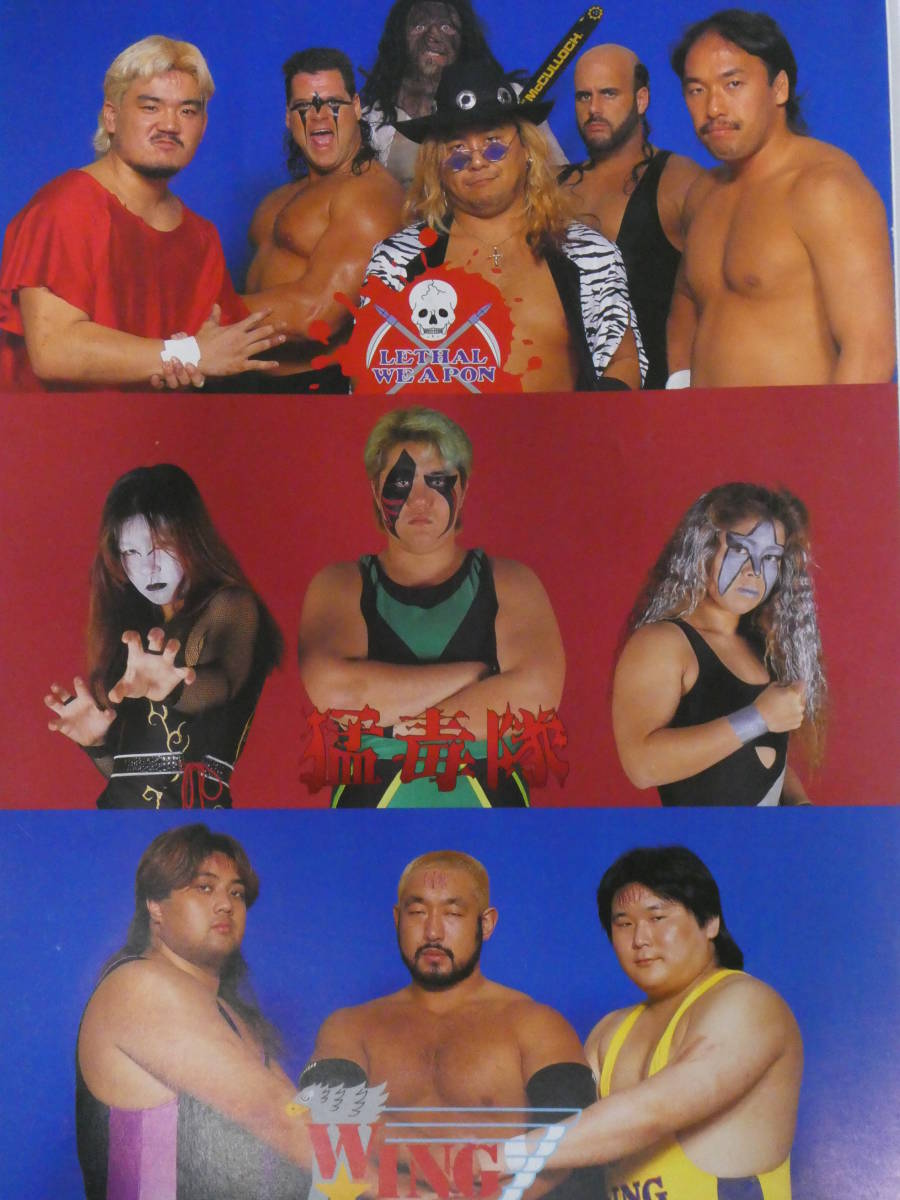 FMWオフィシャル・ガイド・ブック1995スペシャル ハヤブサ、田中正人、工藤めぐみ、中山香里、ミスター・ポーゴ、松永光弘、グラジエーター ...