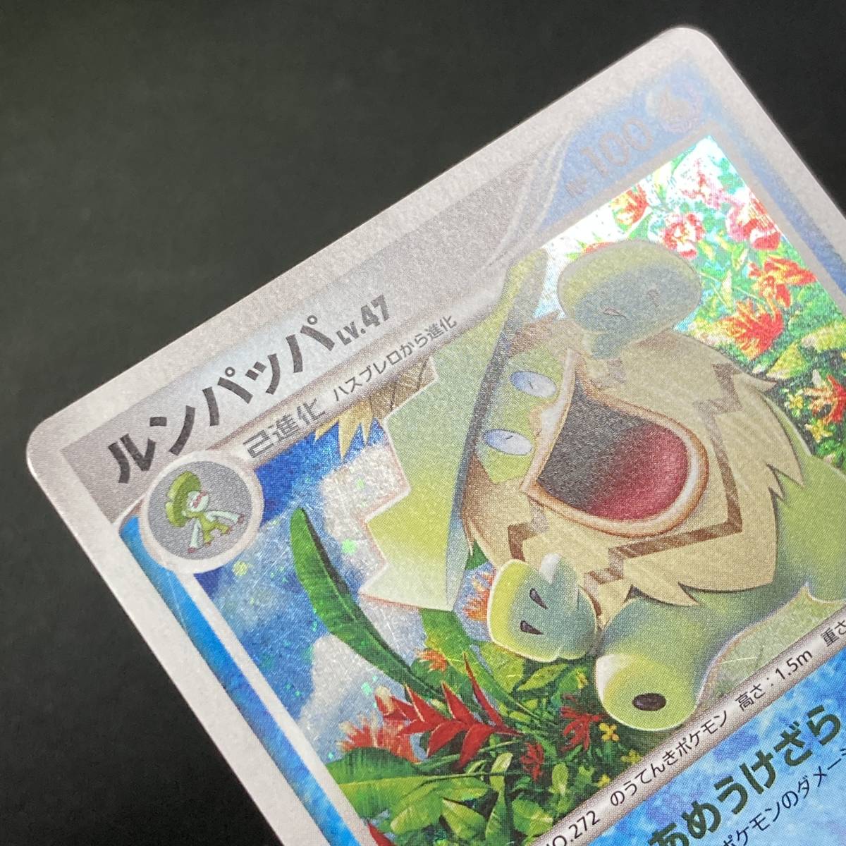 Ludicolo DPBP#322 DP3 2007 Holo Pokemon Card Japanese ポケモン カード ルンパッパ ホロ ポケカ 220922-1 /【Buyee ...