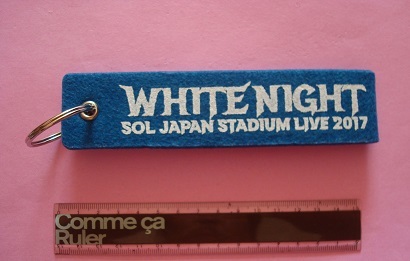 TAEYANG 2017 WORLD TOUR WHITE NIGHT IN JAPAN SOL STADIUM LIVE 非売品 キーリング キーホルダー ヨンべ テヤン /【Buyee ...