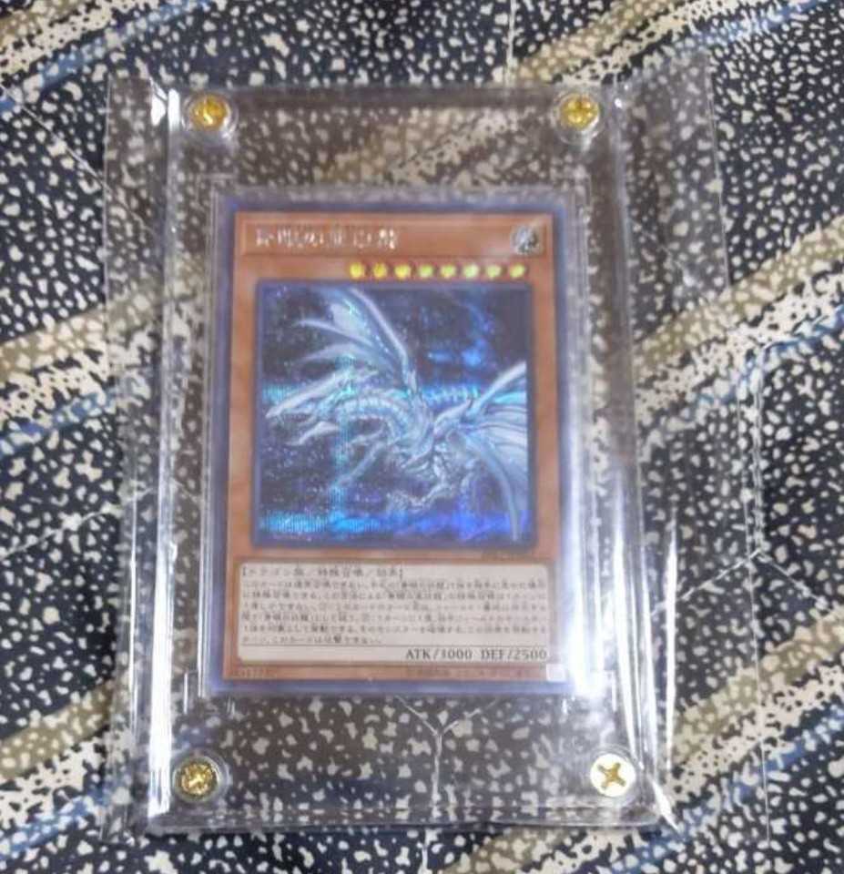 遊戯王 青眼の亜白龍 wcs2017 2017-JPP02 シークレットレア /【Buyee】 Buyee - Japanese Proxy Service | Buy from Japan!