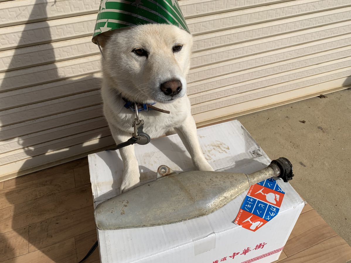 TY250R KATO カトー サイレンサー /【Buyee】