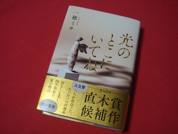 ★船大工★ 光のとこにいてね 一穂ミチ 単行本 2023年 本屋大賞ノミネート！！ 美品！ 送料無料！ /【Buyee】 "Buyee" Japanese Proxy Service ...