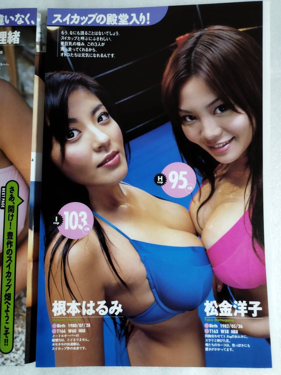 送料込み 根本はるみ 松金洋子 夏目理緒 滝沢乃南 山本早織 石川夕紀 島本里沙 花井美里 など 開封済み袋とじ 8ページ分 雑誌 切り抜き 8P /【Buyee】 Buyee ...