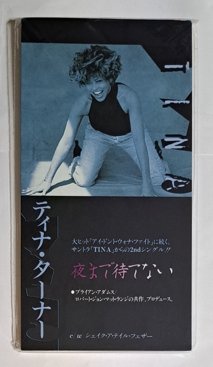 Tina Turner Why Must We Wait Until Tonight? 8cm CD シングル 日本盤 ティナ・ターナー 夜 ...