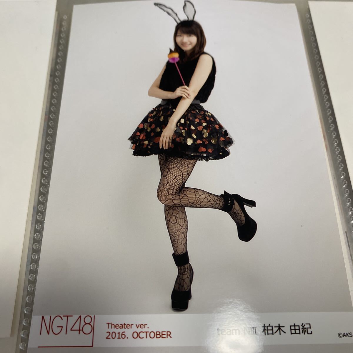 NGT48 柏木由紀 2016 10月 月別 生写真 ゆきりん theater October バニー /【Buyee】 Buyee - Japanese Proxy Service ...