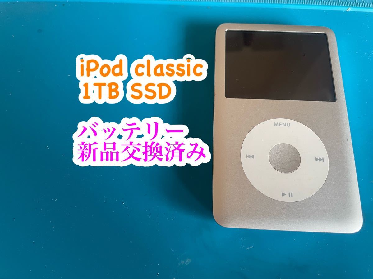 iPod classic SSD 1TB シルバー バッテリー新品交換済み 554 /【Buyee】 Buyee - Japanese Proxy Service | Buy from Japan!