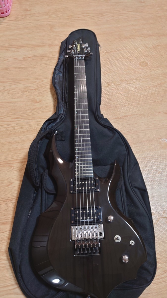 EDWARDS E-FR-130GT その2 /【Buyee】 Buyee - Japanese Proxy Service | Buy ...