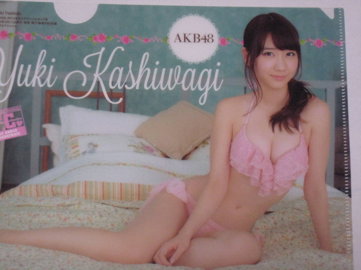 即決 AKB48 柏木由紀 クリアファイル ④ /【Buyee】 Buyee - Japanese Proxy Service | Buy from Japan!