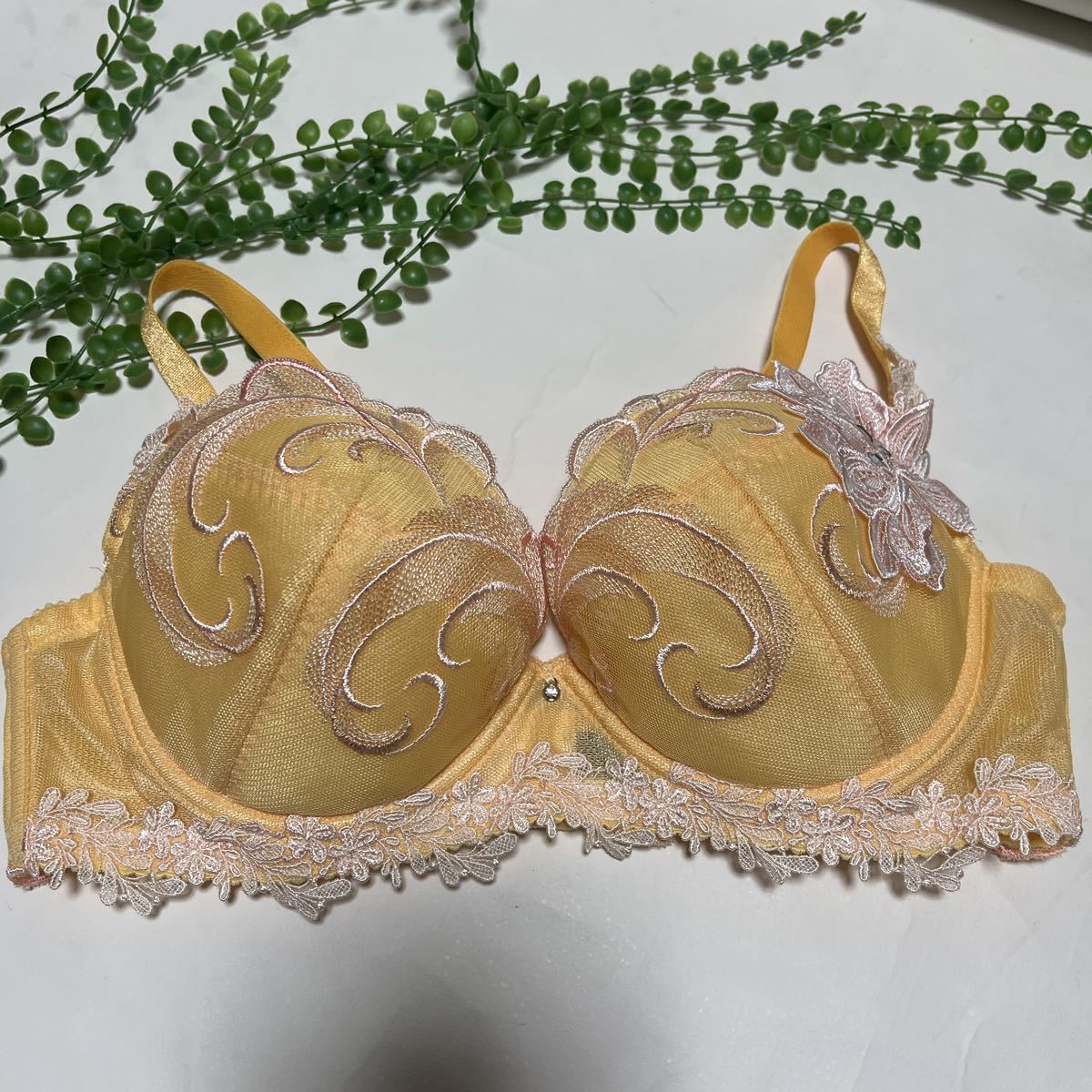 Wacoal Salute ワコール サルート ブラジャー E75 オレンジ③ /【Buyee】 Buyee - Japanese Proxy Service | Buy from Japan!