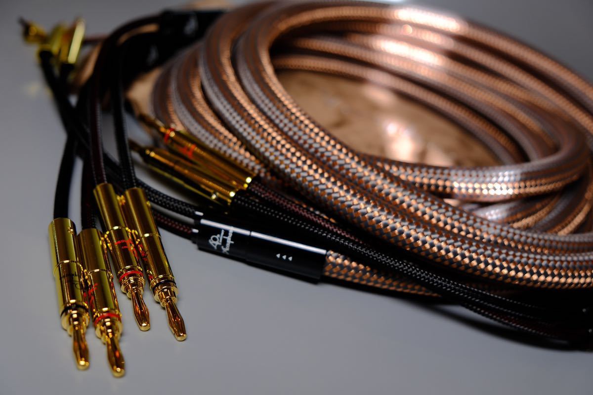 Accuphase 40周年記念スピーカーケーブル 3m ペア /【Buyee】 Buyee - Japanese Proxy Service ...