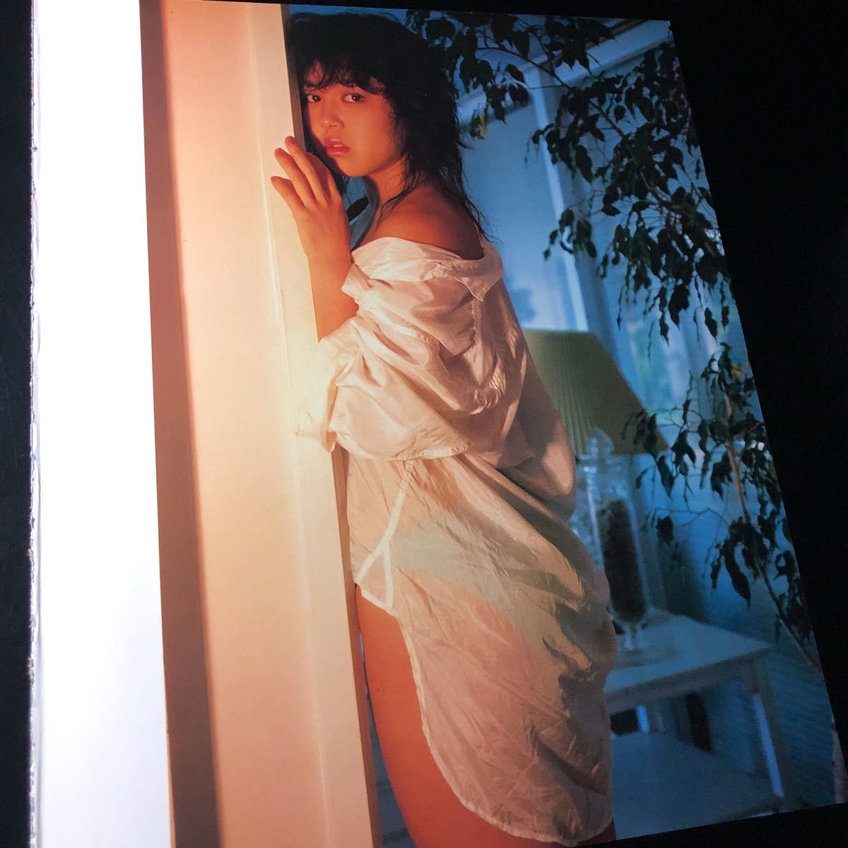 1024A レア切り抜き 堀江しのぶ 12 /【Buyee】 Buyee - Japanese Proxy Service | Buy from Japan!