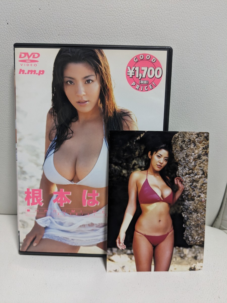 根本はるみ DVD SPECIAL DVD /【Buyee】 Buyee - Japanese Proxy Service | Buy from Japan!