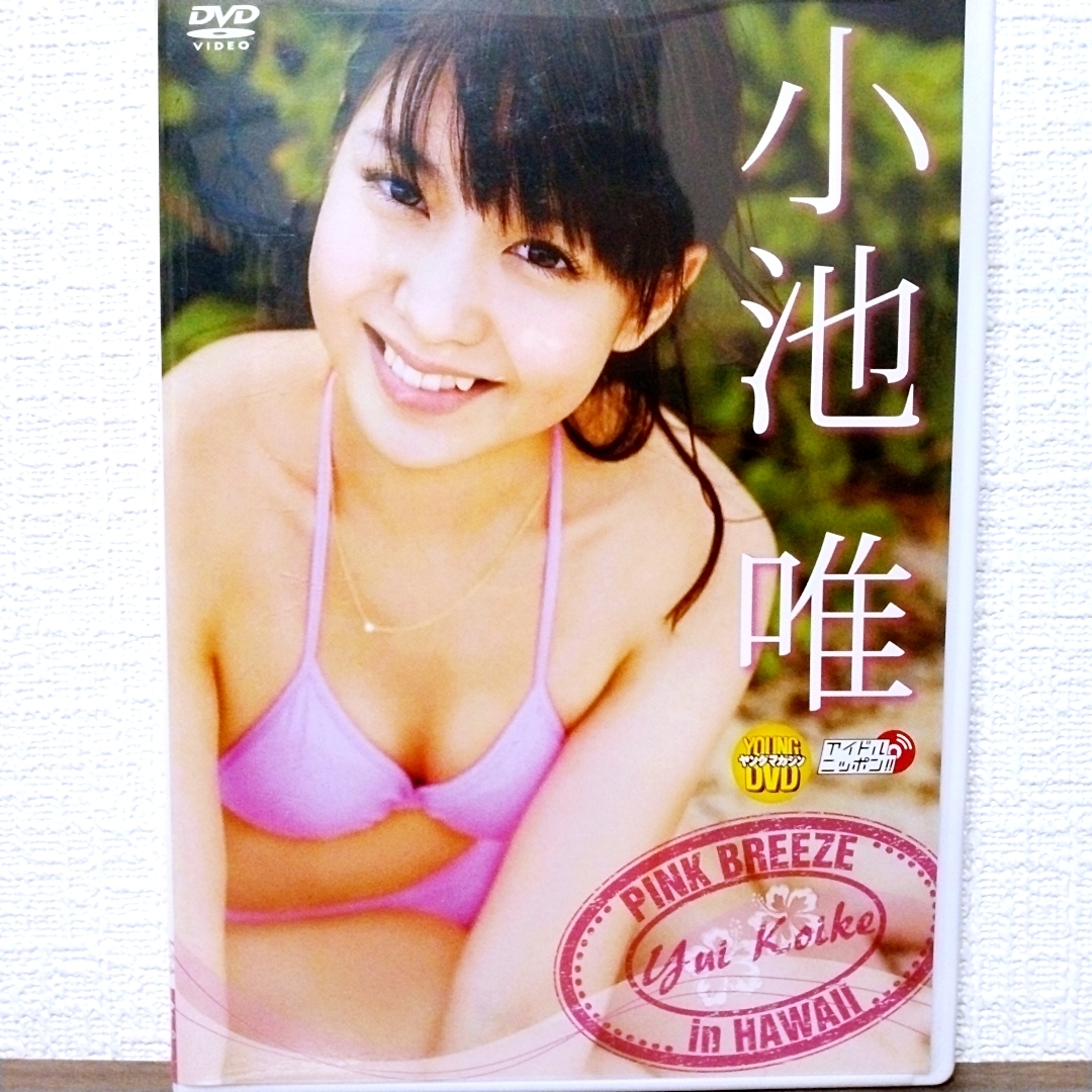 小池唯 / PINK BREEZE in HAWAII 』DVD グラビアアイドル ヤングマガジン /【Buyee】 Buyee - Japanese Proxy Service | Buy ...