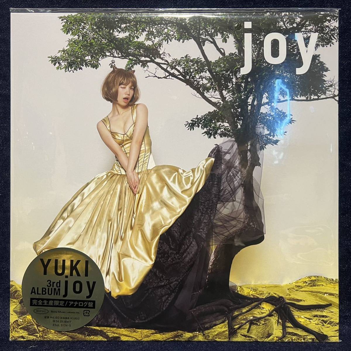 新品/未使用/LP/YUKI/JOY/ESJL-3134-5/限定アナログ盤 /【Buyee】 Buyee - Japanese Proxy Service | Buy from Japan!