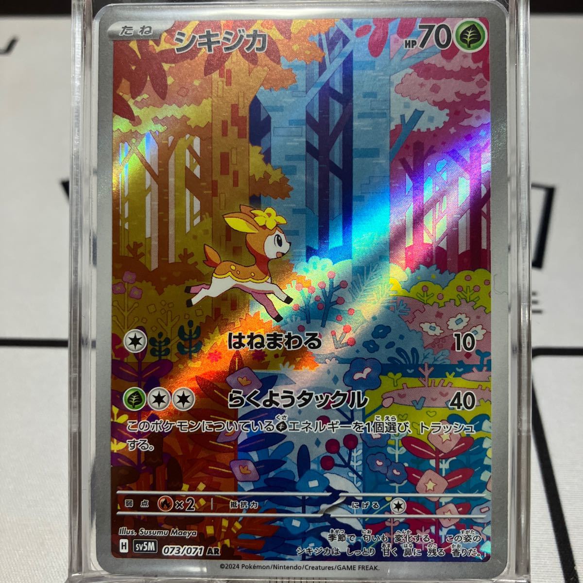 ポケモンカード シキジカ AR sv5M 073/071 /【Buyee】 Buyee - Japanese Proxy Service | Buy from Japan!