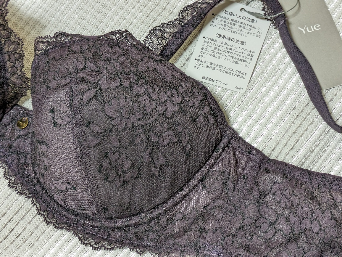 【送料込】新品タグ付 ワコール 最高級シリーズ ユエ YUE E75 BJP450 VI /【Buyee】 Buyee - Japanese Proxy Service | Buy from ...