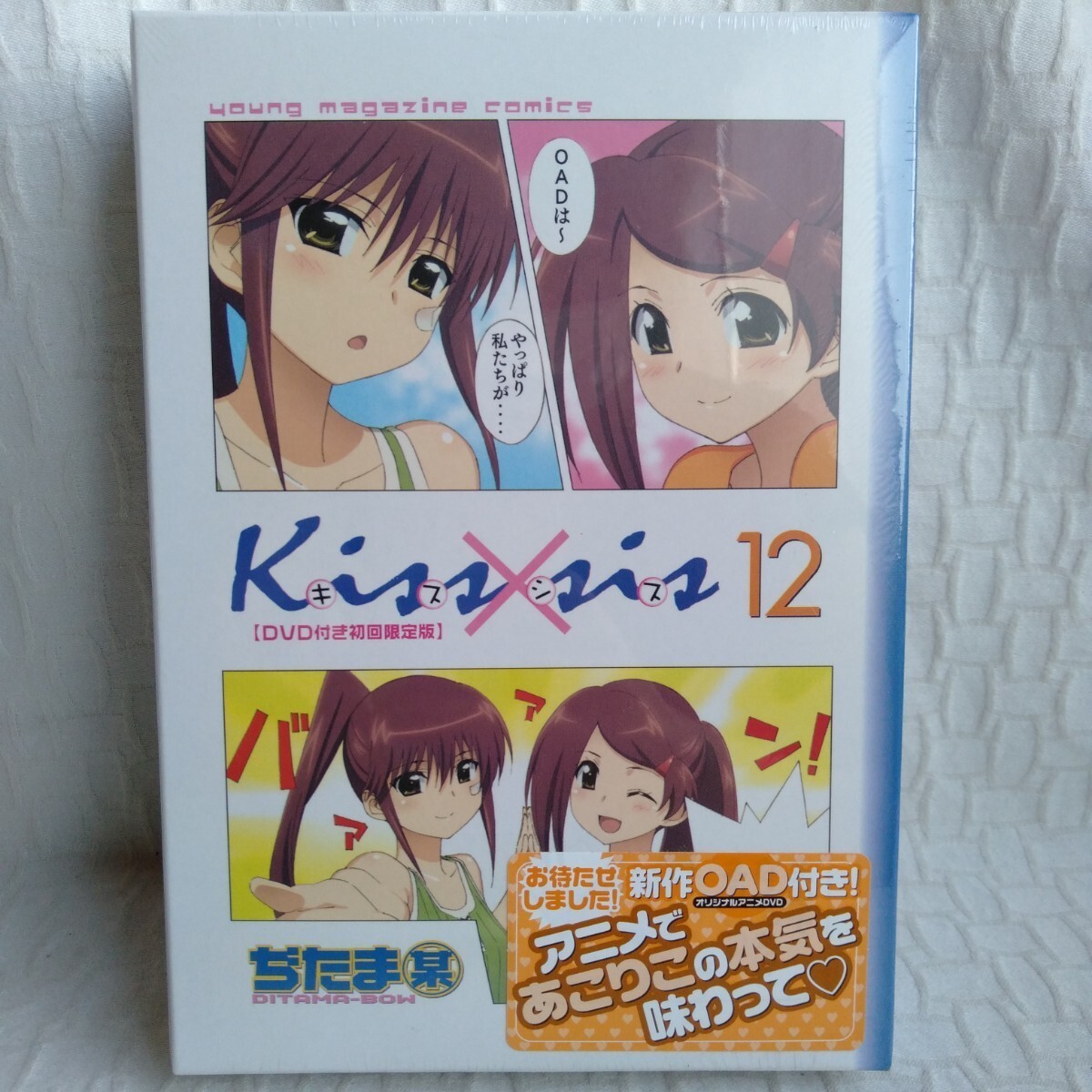 K044【未開封】キスxシスKiss×sis 12 オリジナルアニメDVD付き限定版 ぢたま 某 著 コミック /【Buyee】 Buyee - Japanese Proxy Service ...