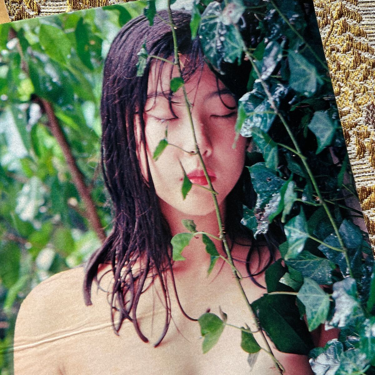 極希少！ 山下慶子(19歳) × 篠山紀信 / 高橋由美子(両面ピンナップ) 貴重グラビア 切り抜き 11P 当時物 90年代 お宝 激写/GORO /【Buyee】 Buyee ...