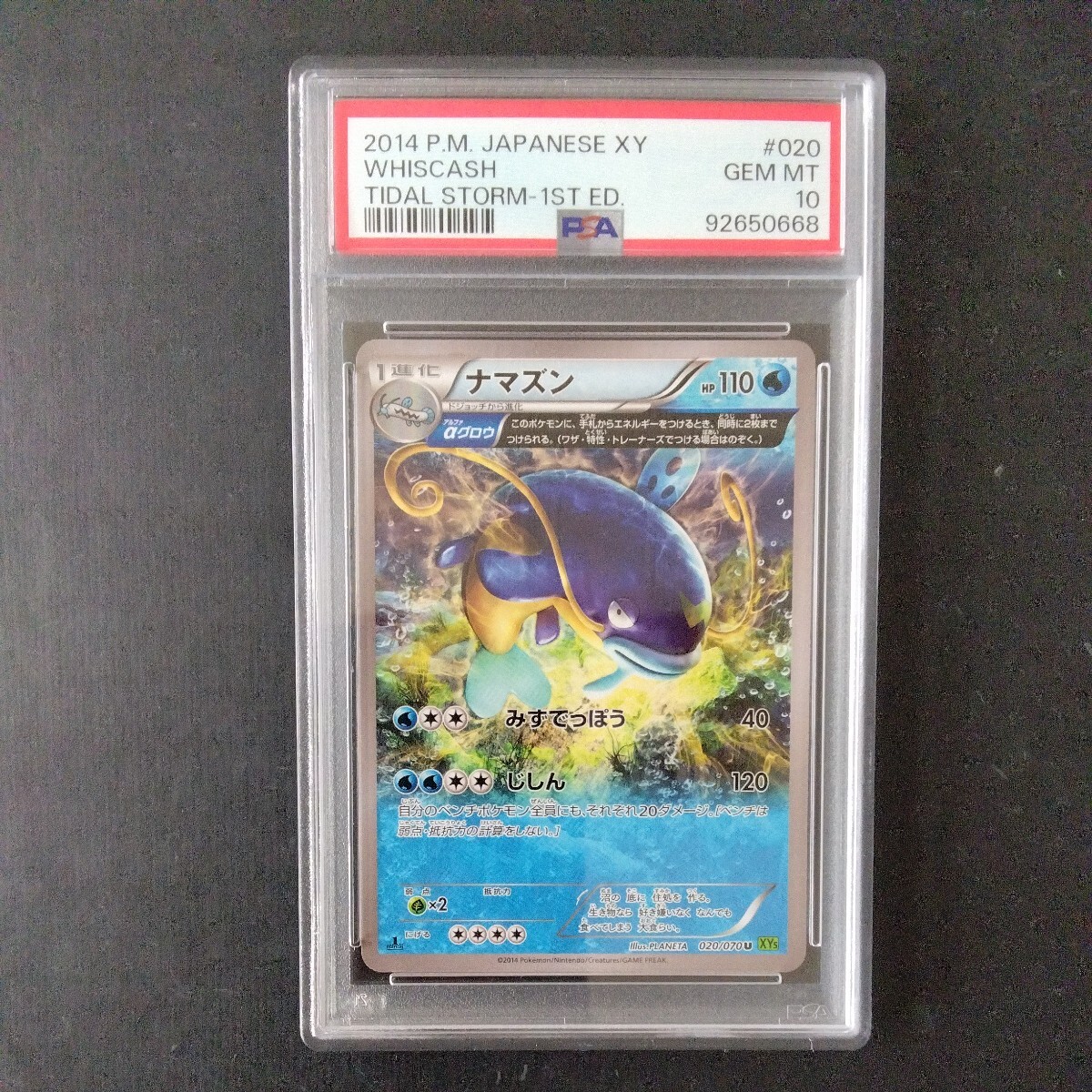 ポケモンカードPSA鑑定品 ナマズン PSA 10 /【Buyee】 Buyee - Japanese Proxy Service | Buy from Japan!