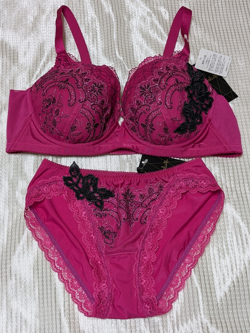 【送料込】新品タグ付ワコール wacoal サルート salute ブラジャーE80 ショーツ M 小さく見せるブラ 4/5カップ 74G BTJ774 PTJ774 RP /【Buyee ...